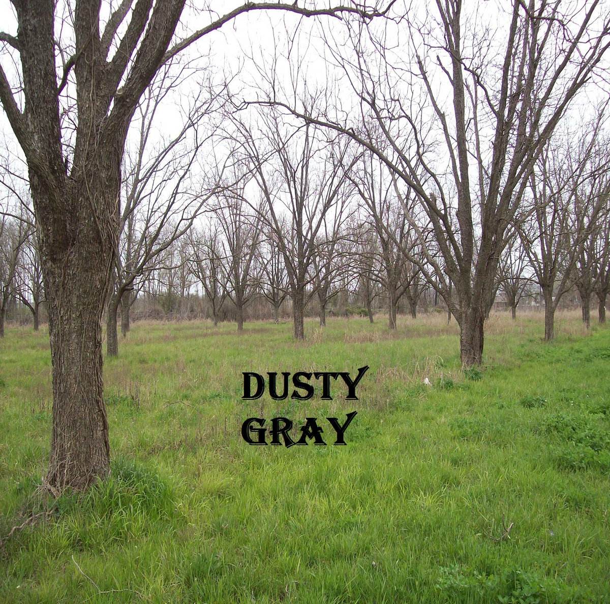 Dusty Gray | Dusty Gray
