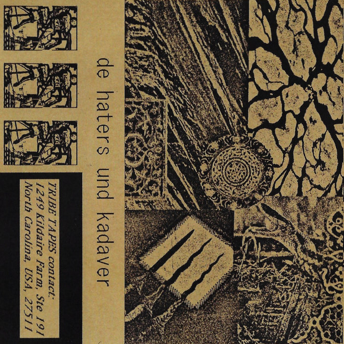 Pump-Powered Permawave (2021) | The Haters | Tribe Tapes