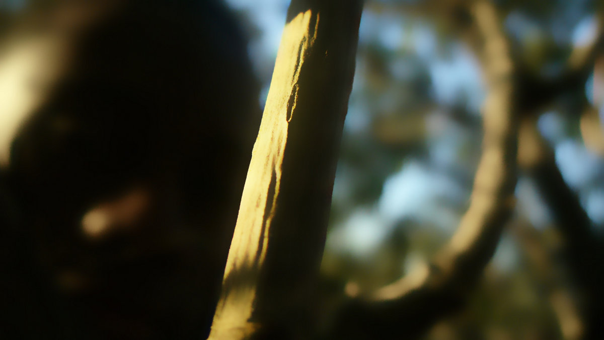 Is a Human | Swirly Helix | Rapper:Alyx