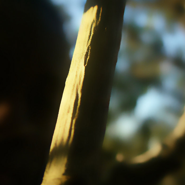 Is a Human | Swirly Helix | Rapper:Alyx