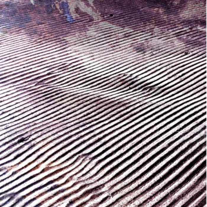 Museums of Sleep | Museums of Sleep | Dub Ditch Picnic
