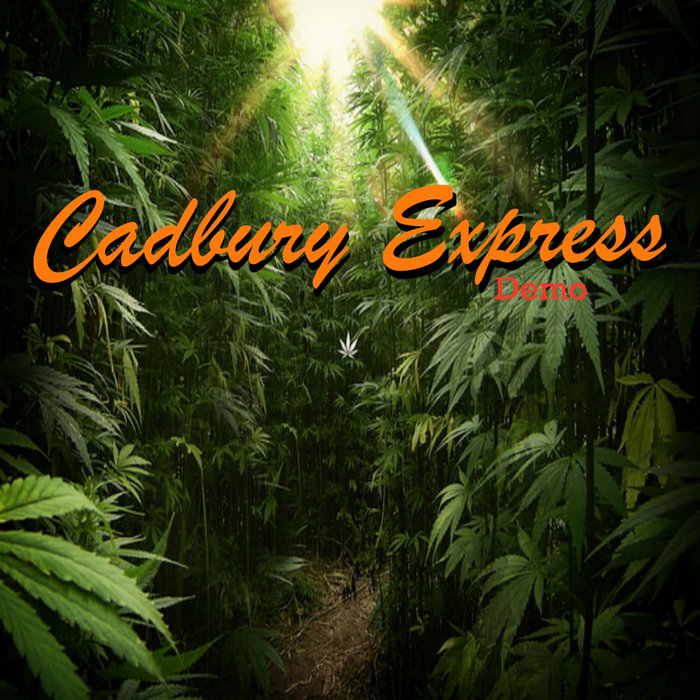 Demo | Cadbury Express