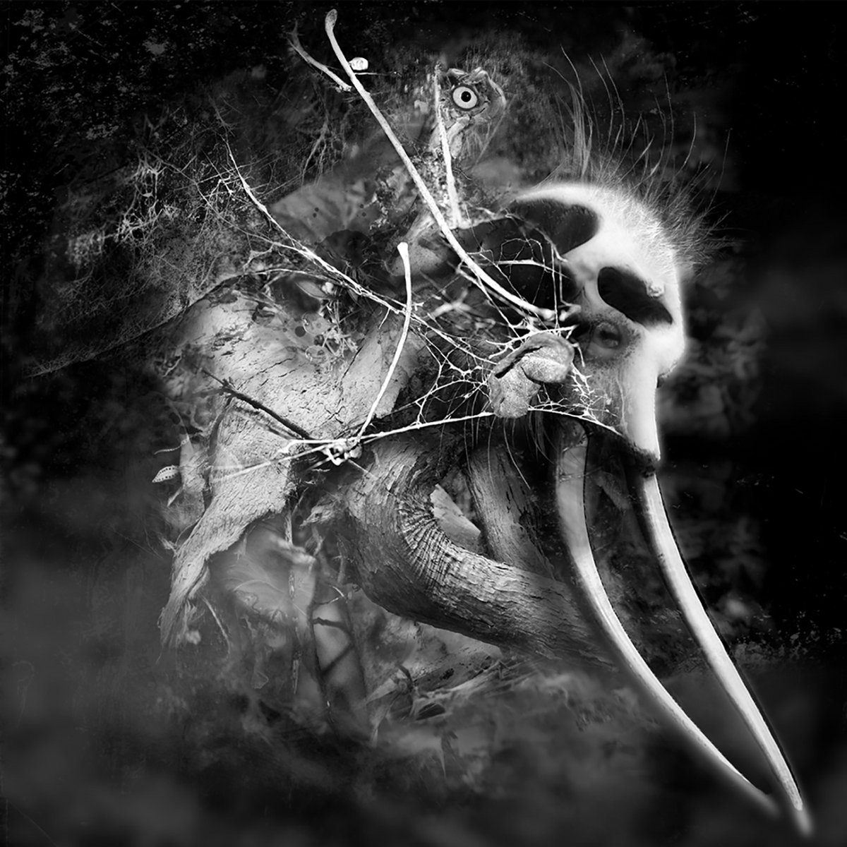 The Hidden | Wizards Tell Lies, amonism | Simon McCorry