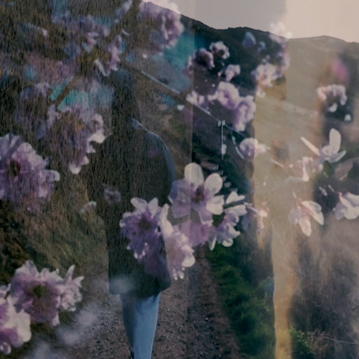 Dead Light Travels | CosyJoe