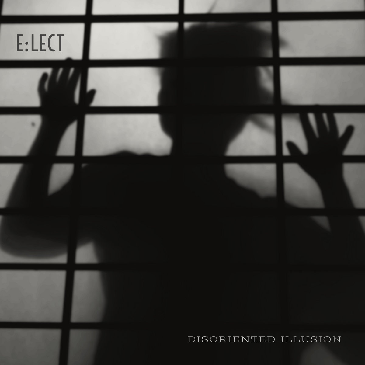 Disoriented Illusion | e:lect