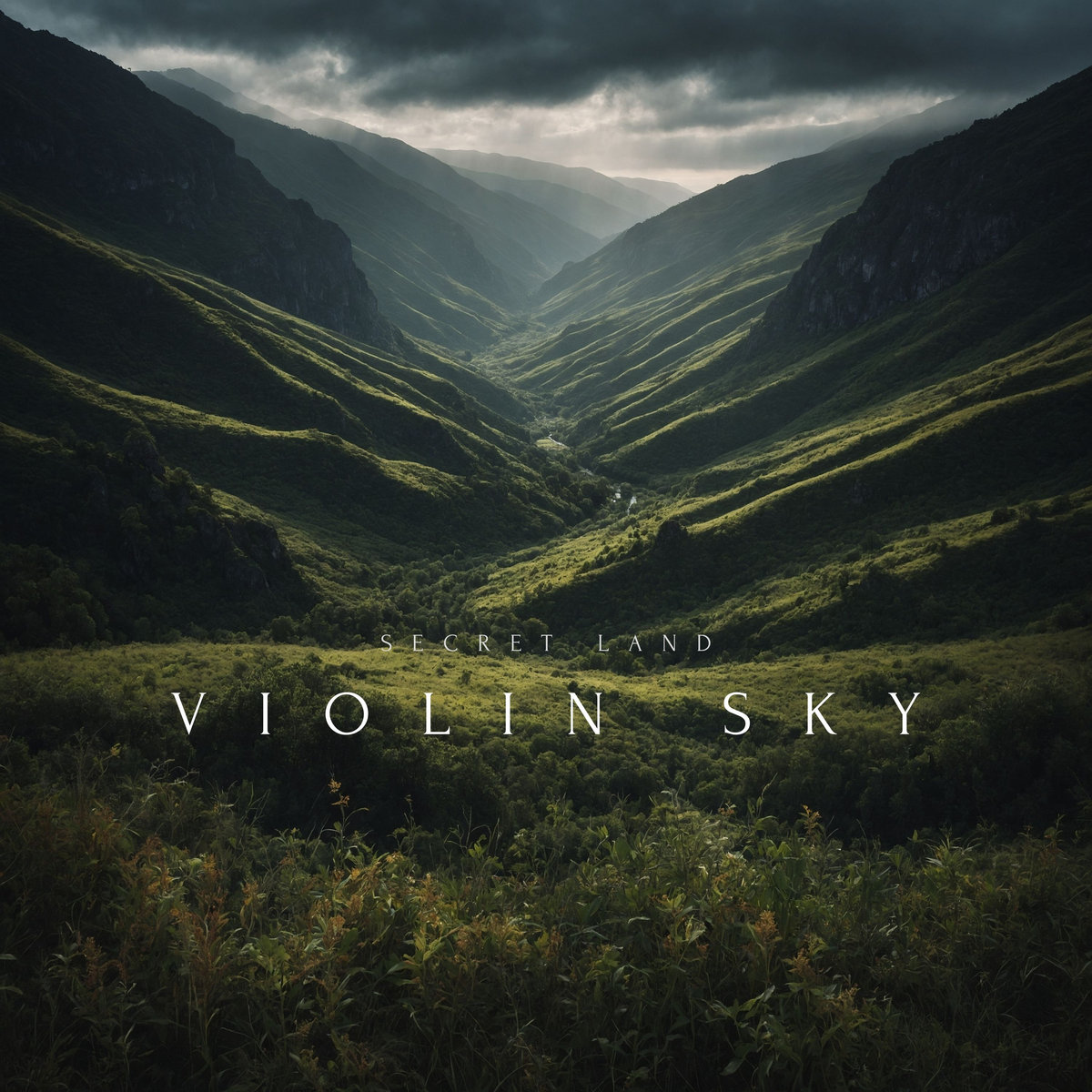 Secret Land | Violin Sky | Peter Ries