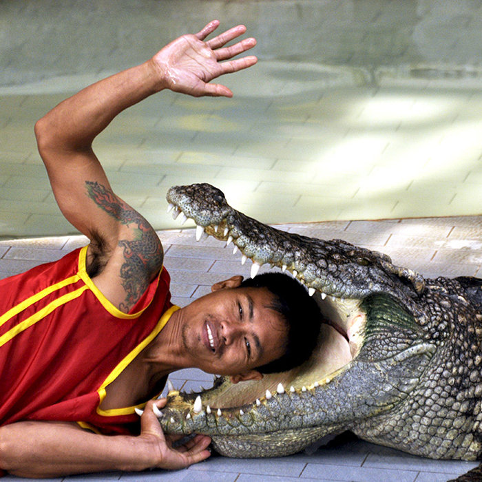 World Record Crocodile Lolong
