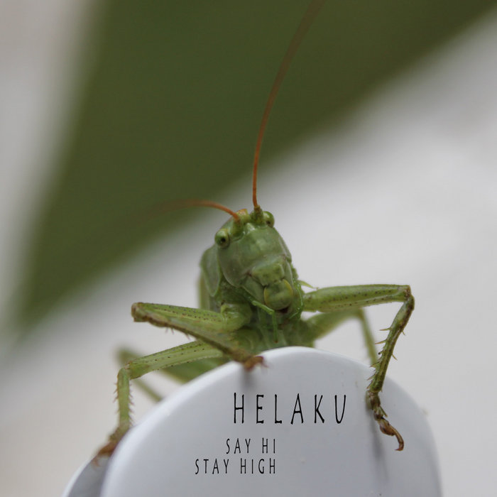 Say hi, stay high | Helaku
