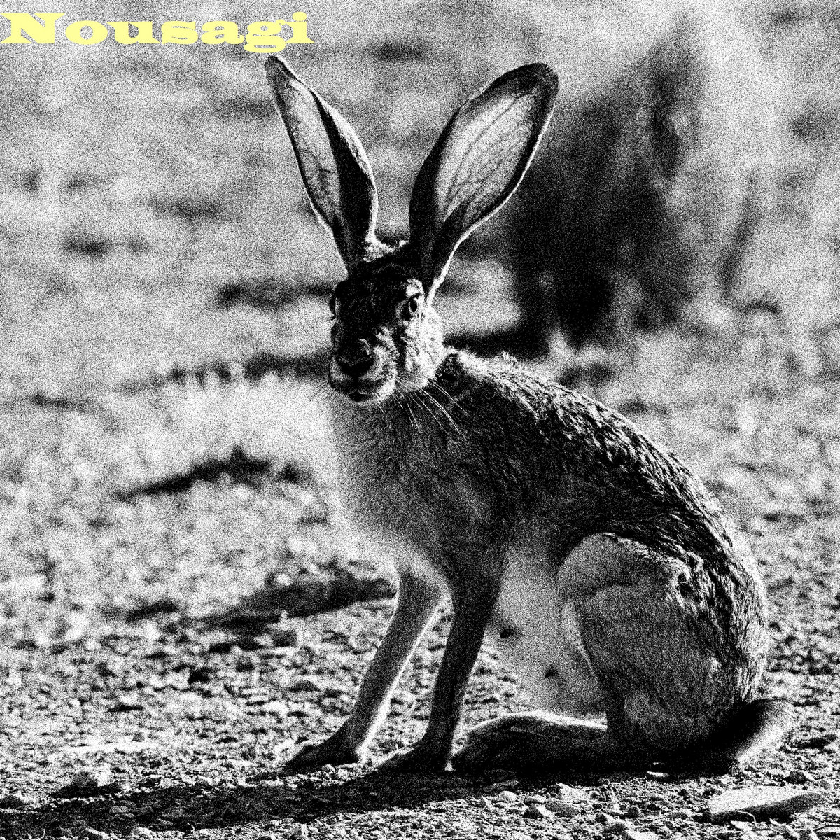 Jack Rabbit | Nousagi