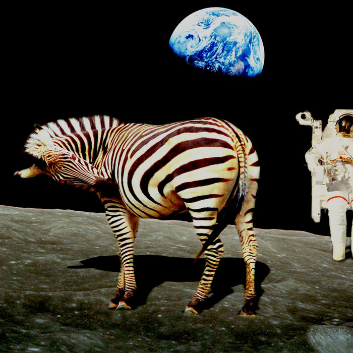 Self Titled | Space Zebra