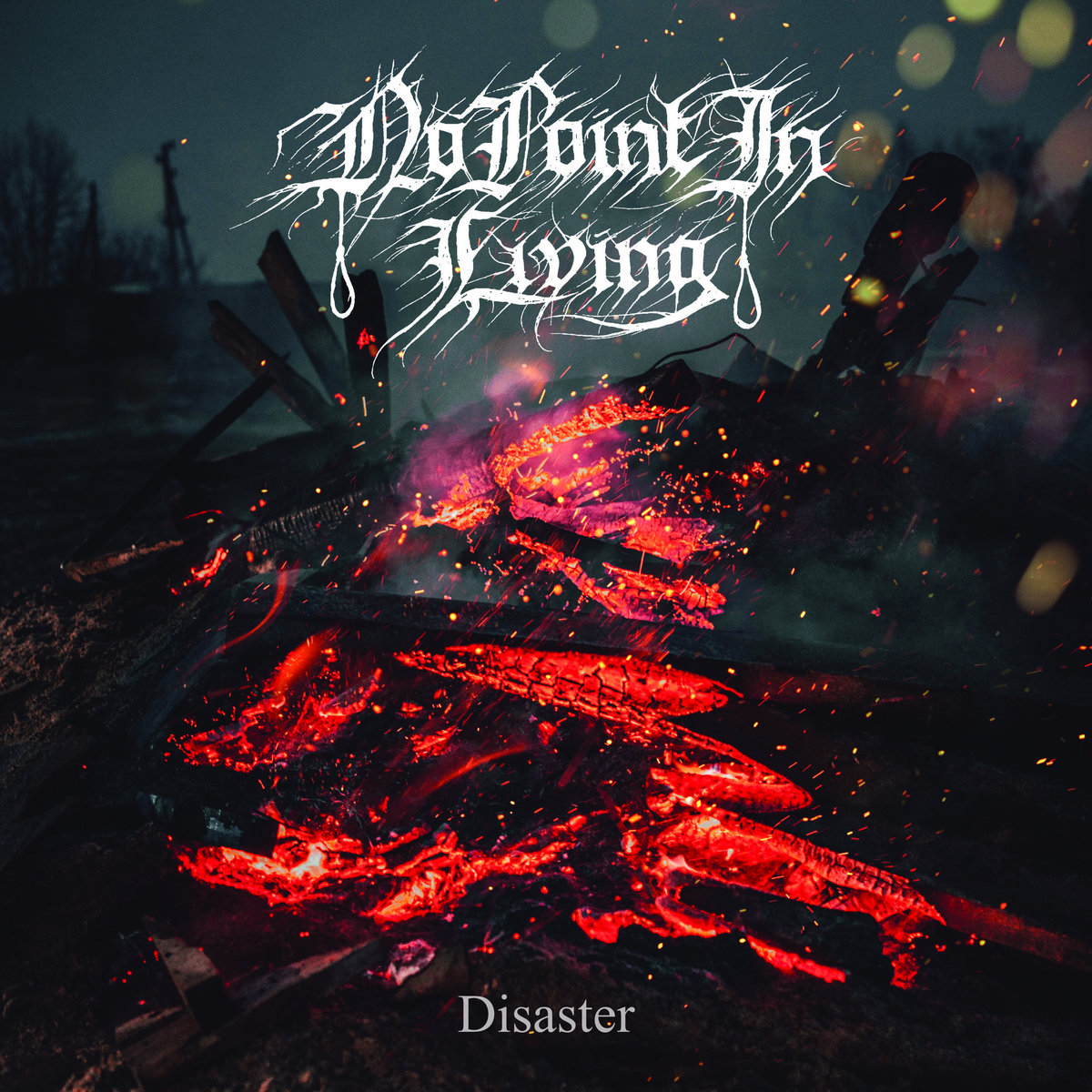 Disaster | No Point in Living