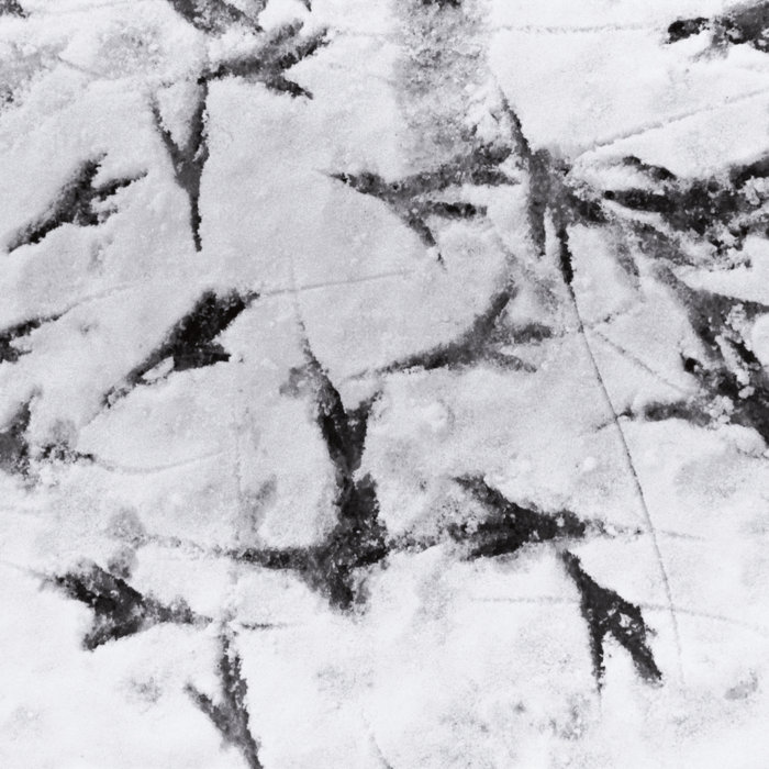 Permanent Blue | Latex Pets