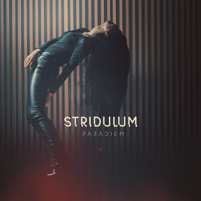 PARADIGM | STRIDULUM