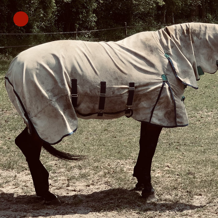 Mayólicas soli | Derous