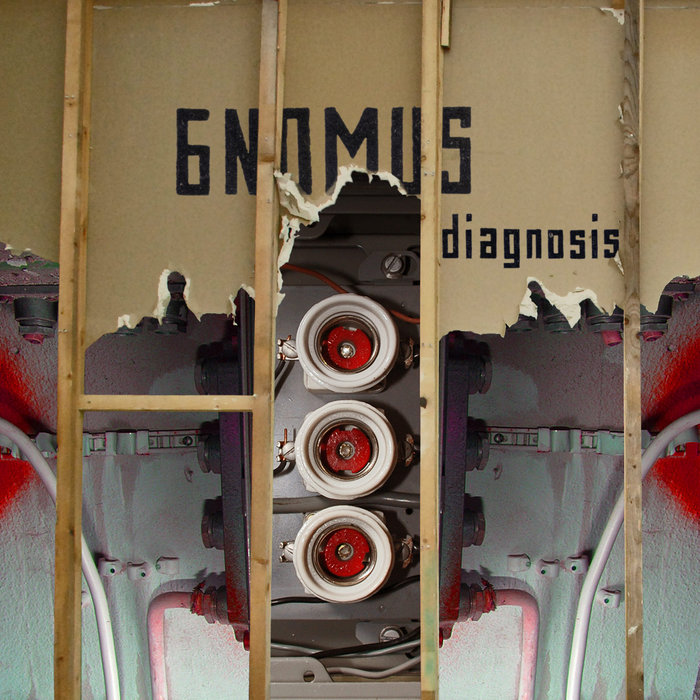 Diagnosis | Gnomus