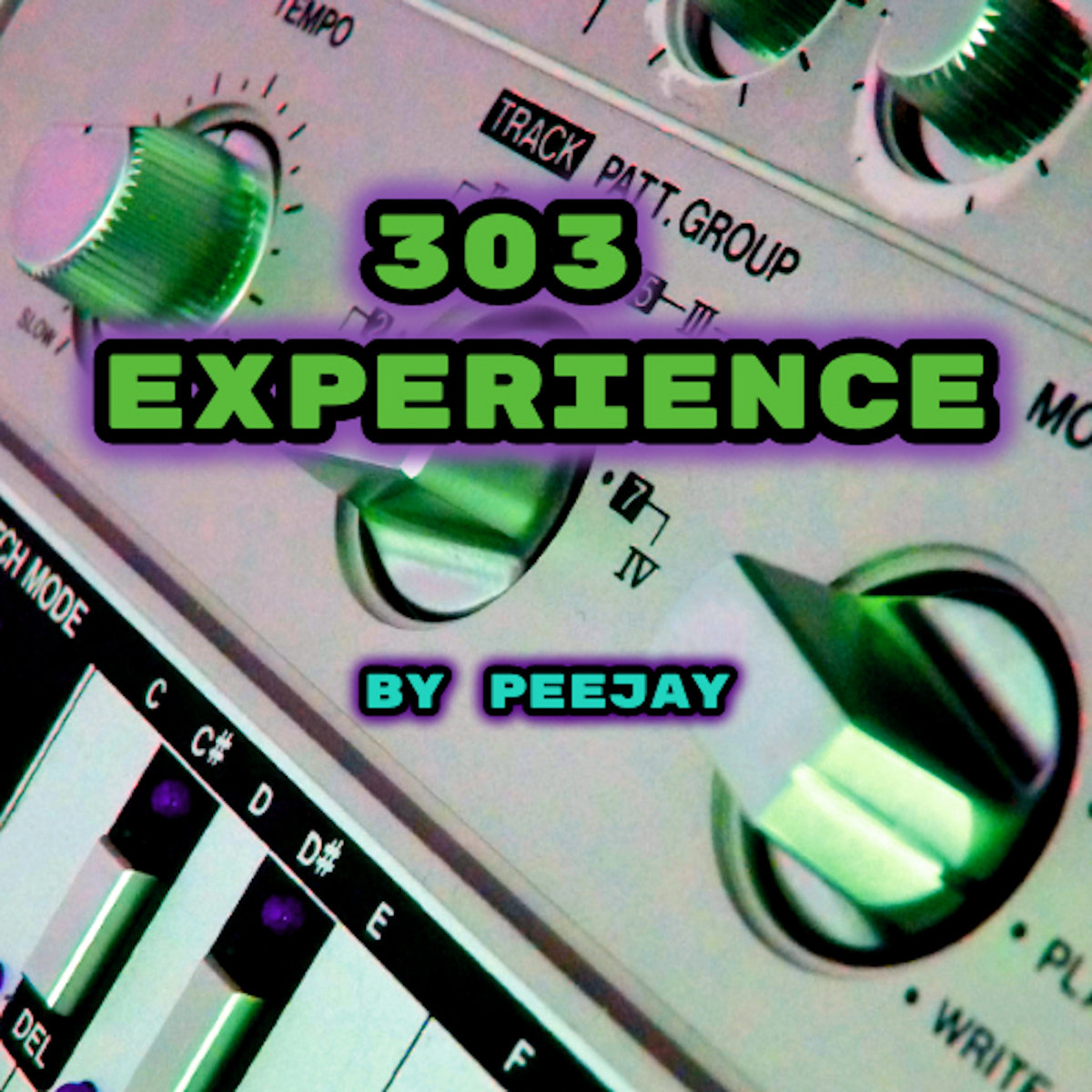 303 Experience | Peejay | PEEJAY