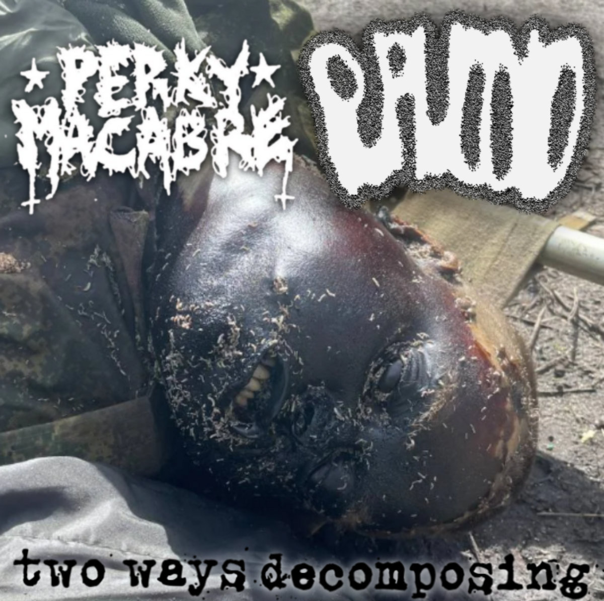 Perky Macabre / Puruloid Split | Puruloid, Perky Macabre | Puruloid