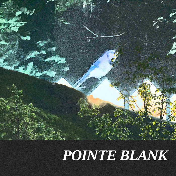 pointe blank | hit the kitchen