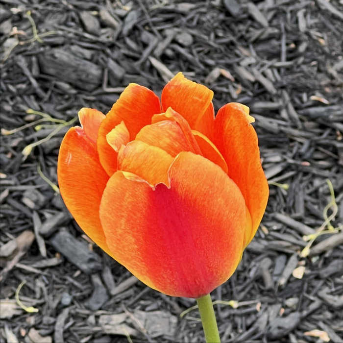 2E8A Piano Compositions, Vol. 2 - EP | 2E8A