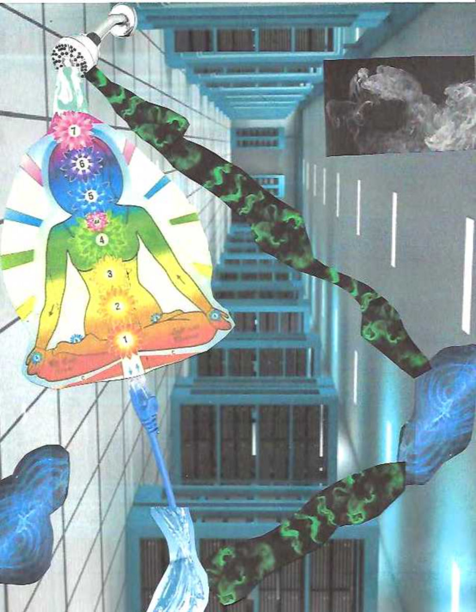 Government Oasis | Clearance | Zac Davis