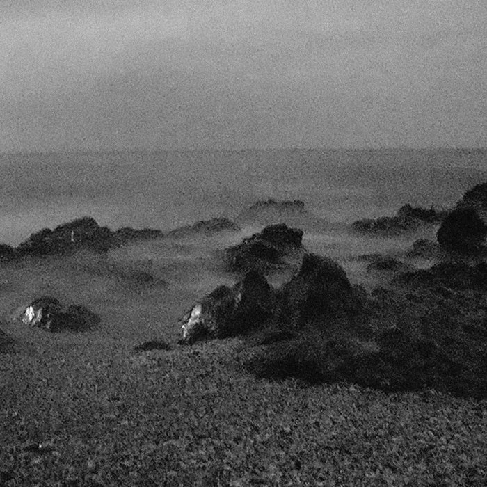 Dry Fluid | munda + nara is neus | Munda