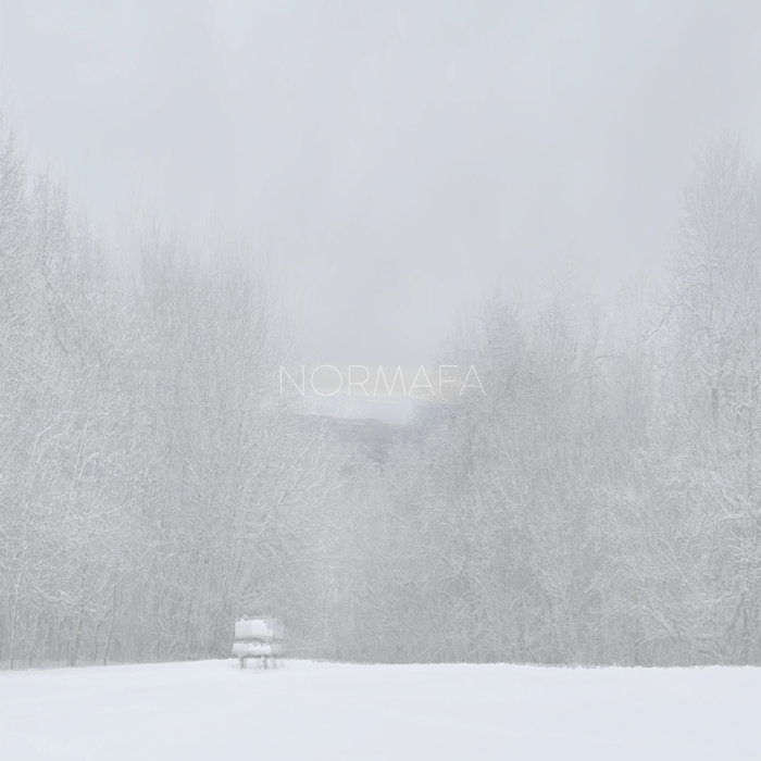 Normafa - II | Levente Hegedüs | naplevente