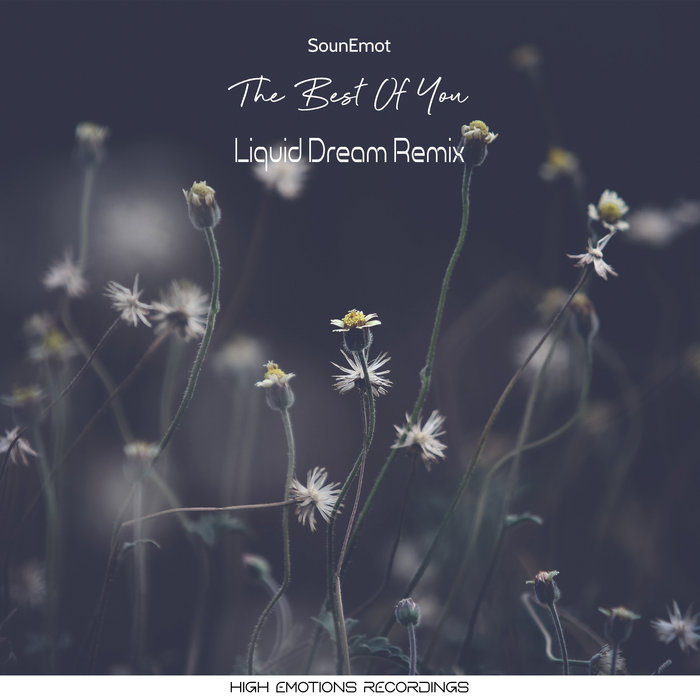 The Best Of You (Liquid Dream Remix) | SounEmot