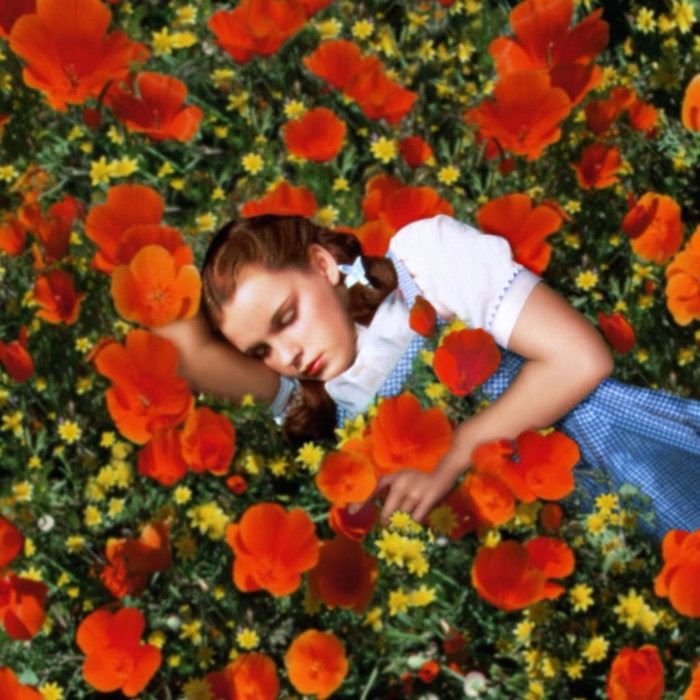 If I'm Dreaming | Post Traumatik