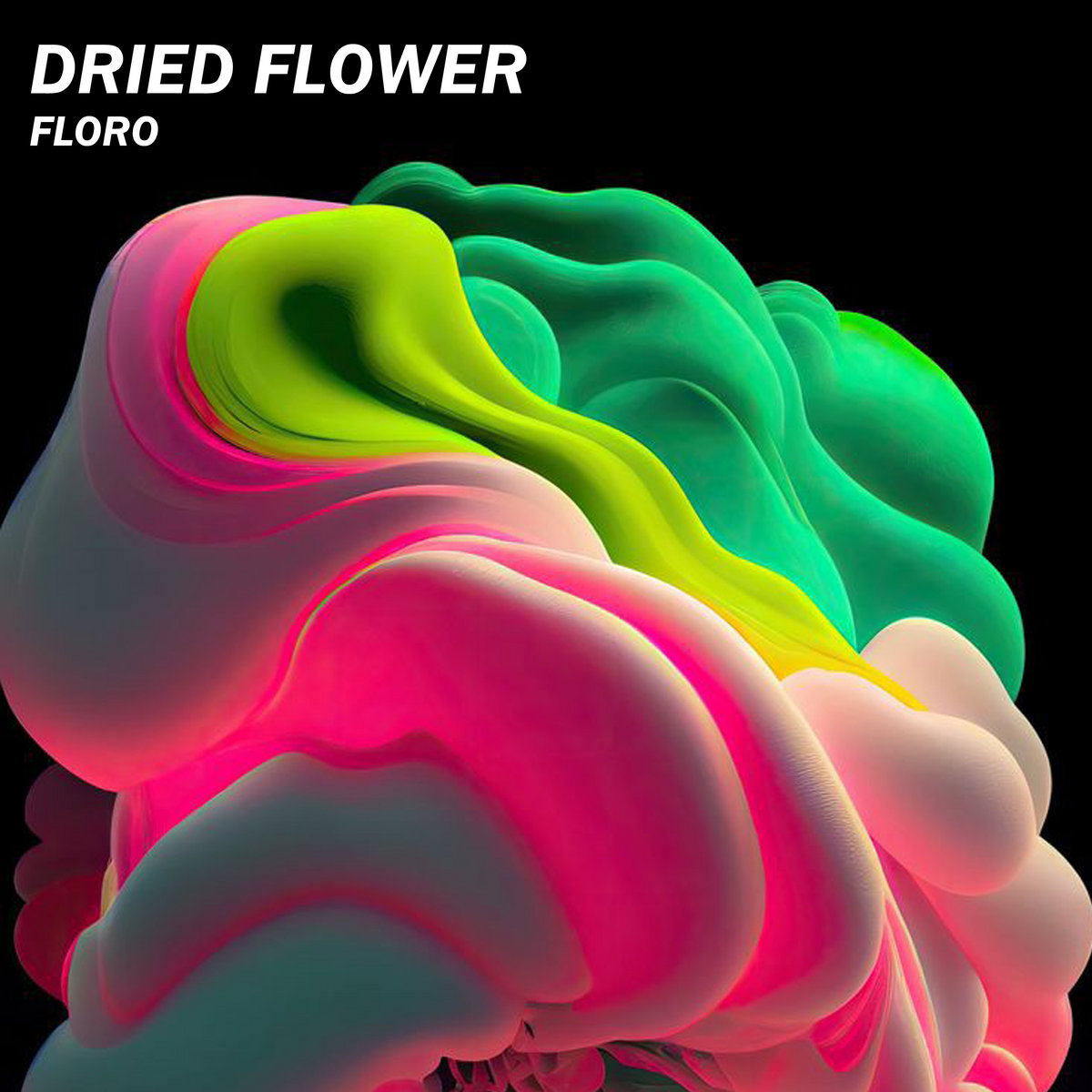 Level crossing | Dried Flower