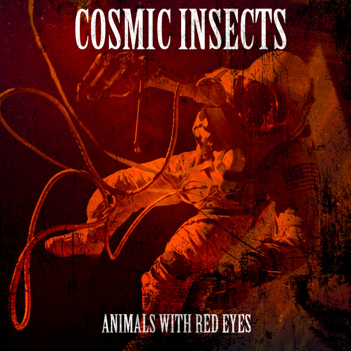 Cosmic Insects | Animals With Red Eyes