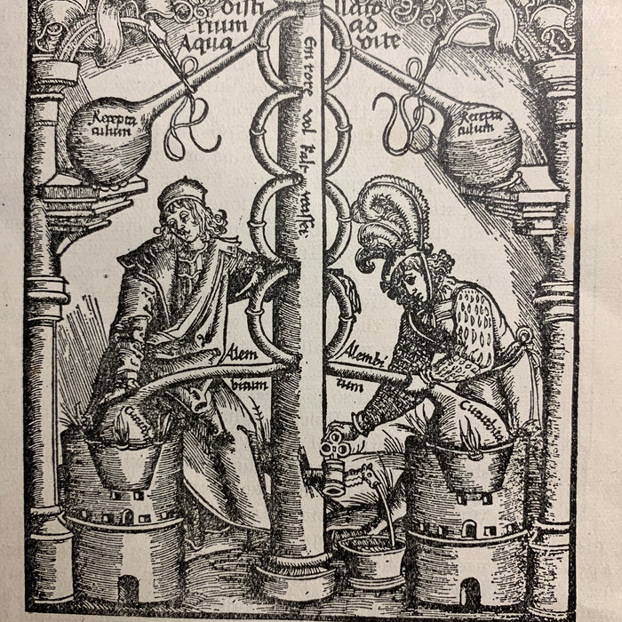 La lanterne des bons vivants | boora point / novemberist | ASTATINE