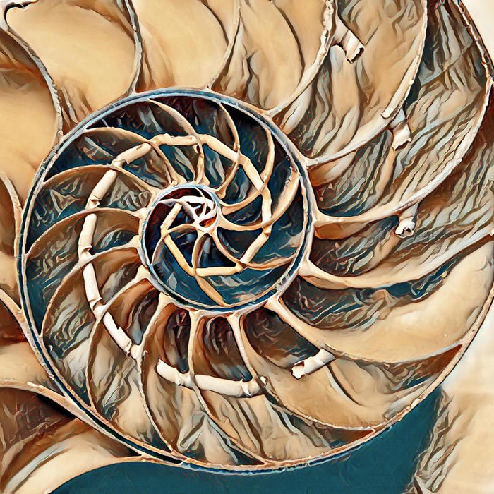 82 random sequences | Advanced Waveform Synthetix | Electric Music ...