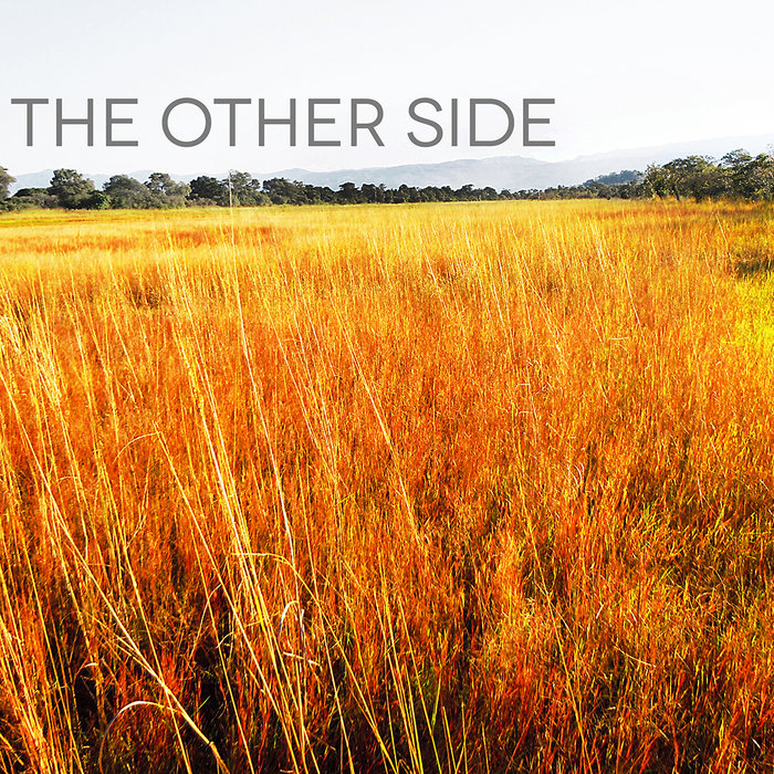The Other Side | Leo Wood