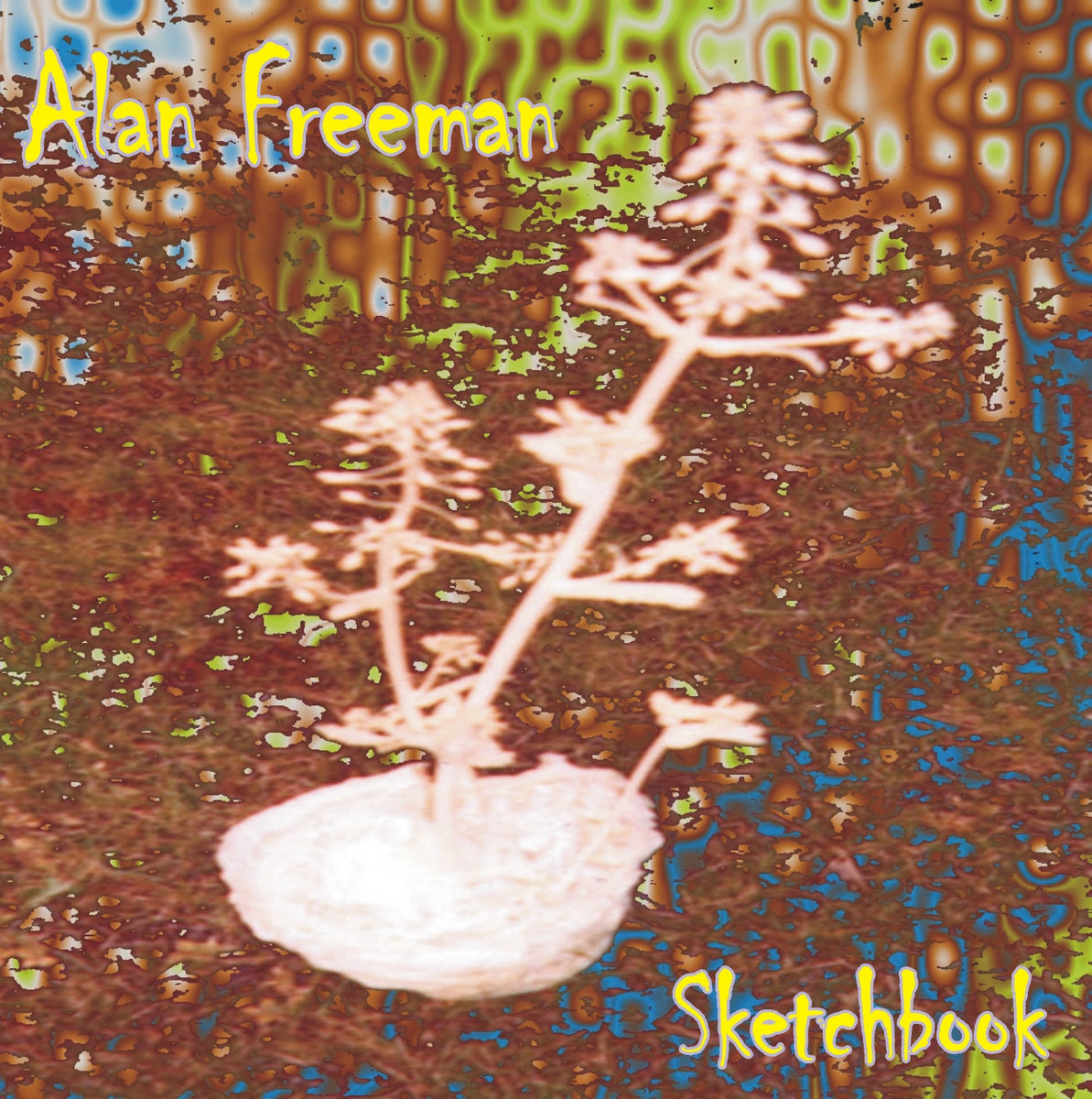 Sketchbook | Alan Freeman | Auricle Music