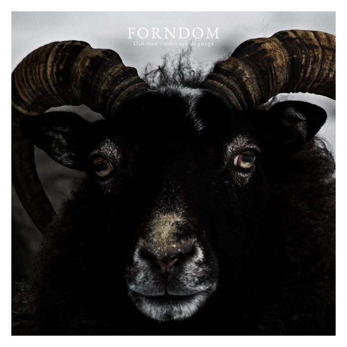 Och med vinden ack de gunga | Forndom