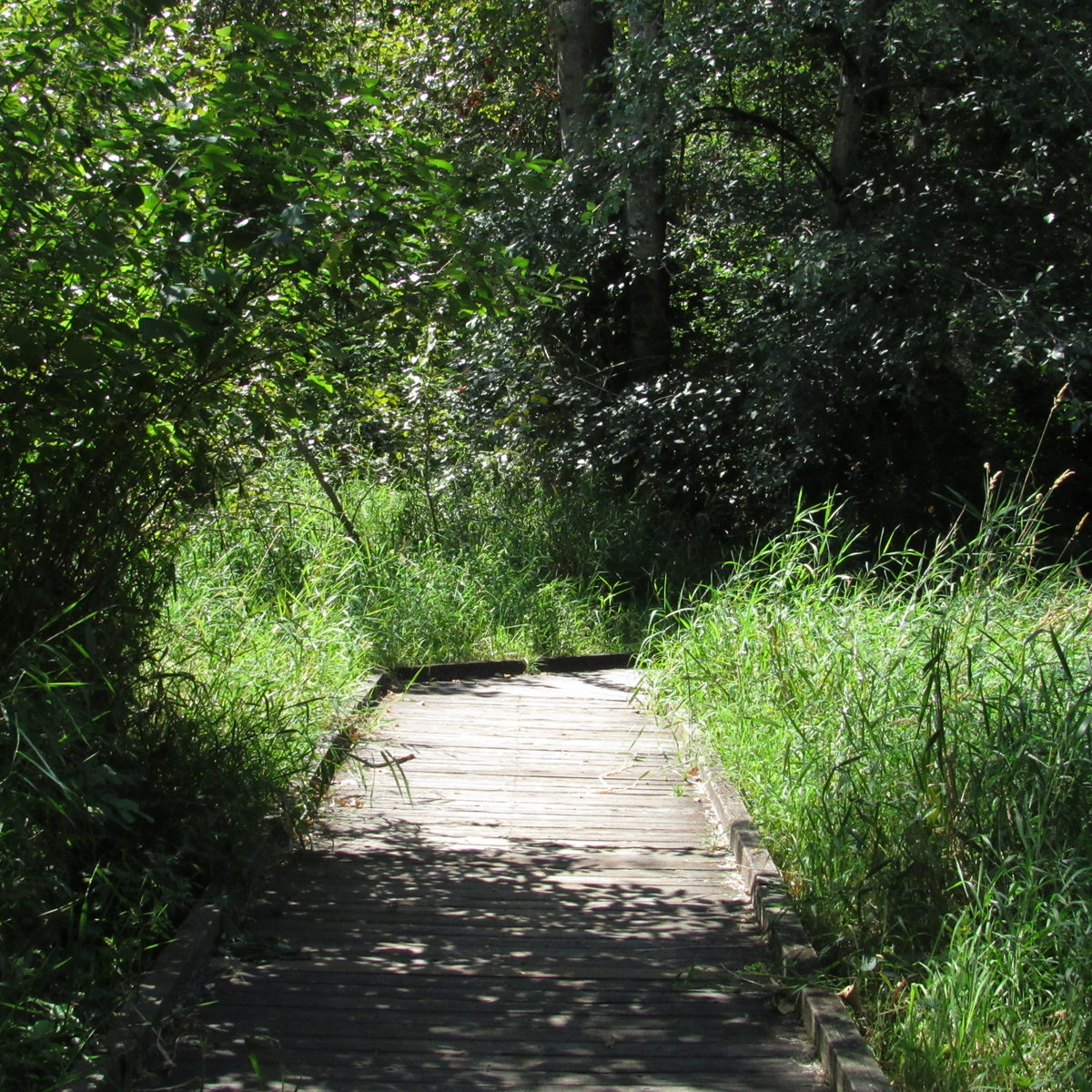 Bothell Landing Park And Sammamish River Trail | FKF