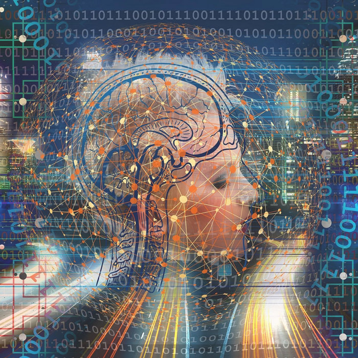 Neural Pathways | Quiet Resonance