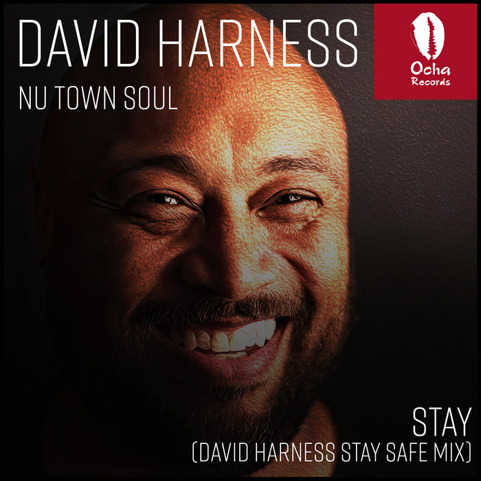 Stay (David Harness Stay Safe Mix) | Nu Town Soul, David Harness | Ocha ...