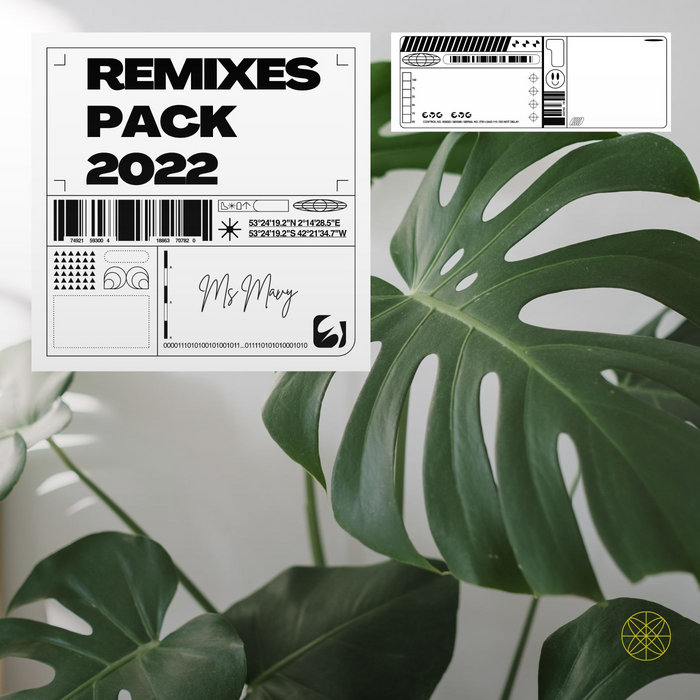 Remixes Pack 2022 | Ms Mavy