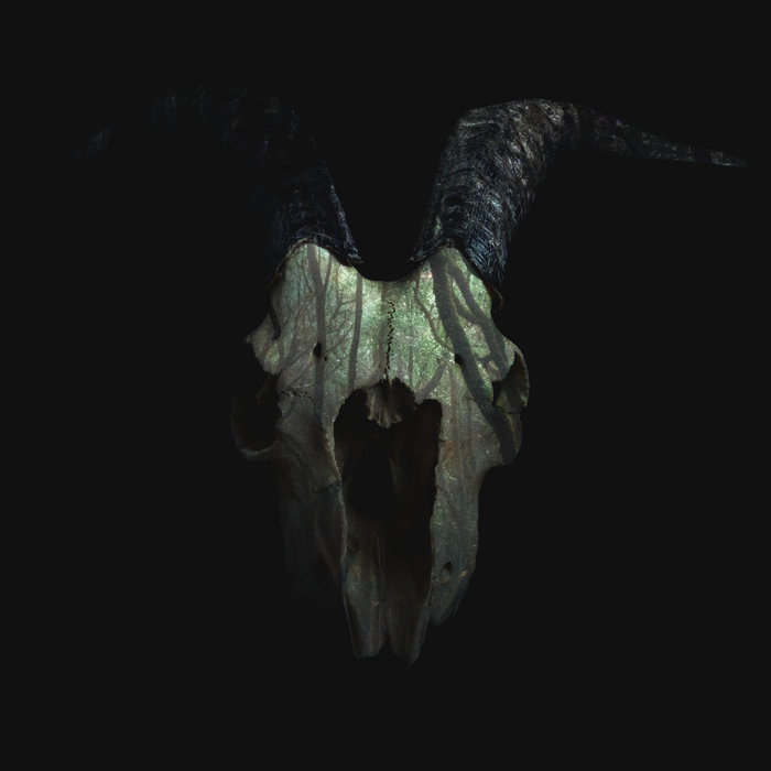 TECHNO-SHAMAN | Blòt Heathen