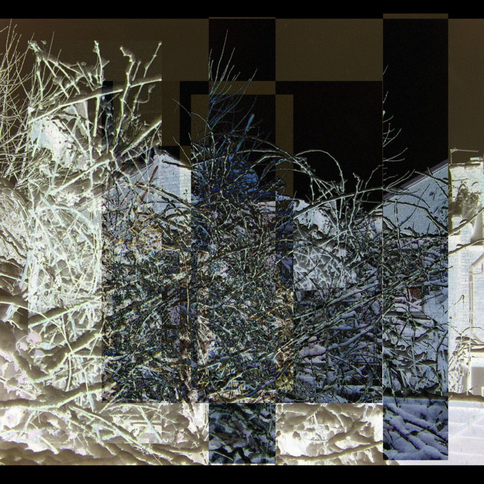 A Night in at the Races | James Shearman