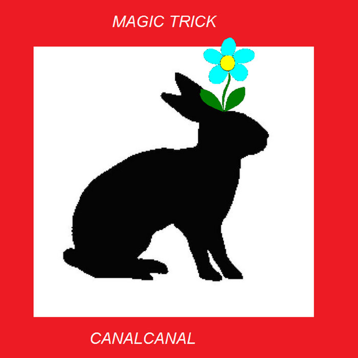 MAGIC TRICK | canal canal