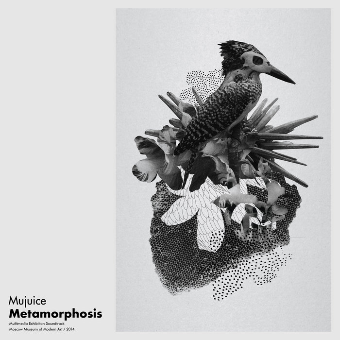 Metamorphosis | ACID POP Recordings ♥
