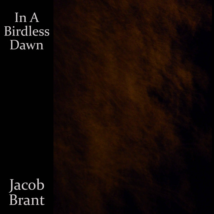 In A Birdless Dawn | JACOB BRANT | attenuation circuit