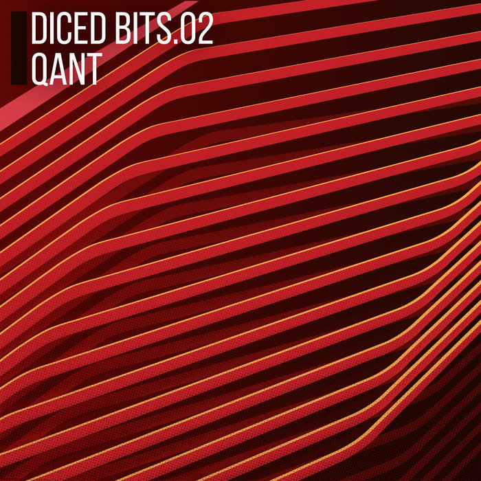 Diced Bits 02 | Qant