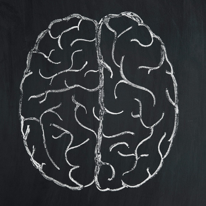 Discombobulation | Equal Opportunity Nihilists