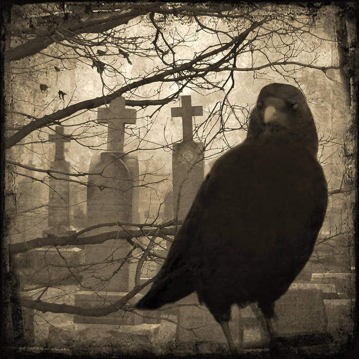 Insanity Crow