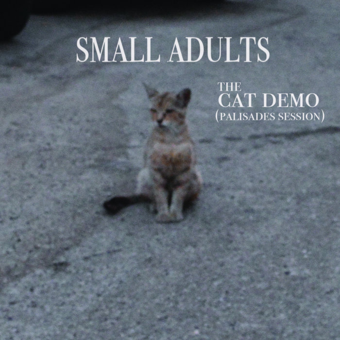 the Cat DEMO (Palisades session) | small adults | Small Adults