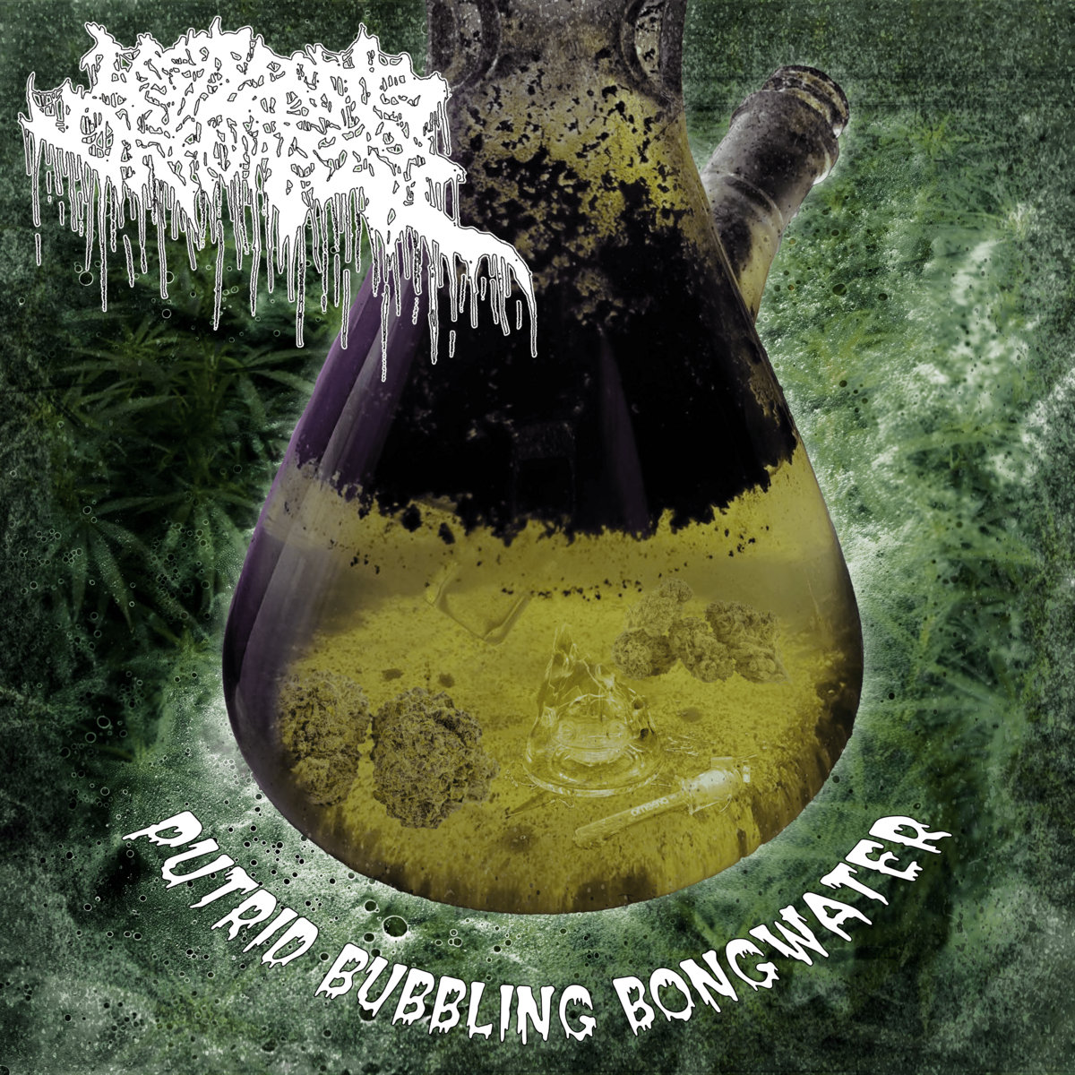 PUTRID BUBBLING BONG WATER (NYCTOPHAGIA SPLIT) | LAST BONG OF HUMANITY ...