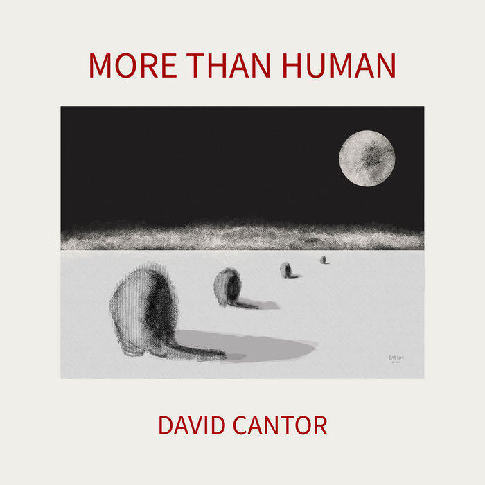 More Than Human (2005--Remastered 2016) | David Cantor